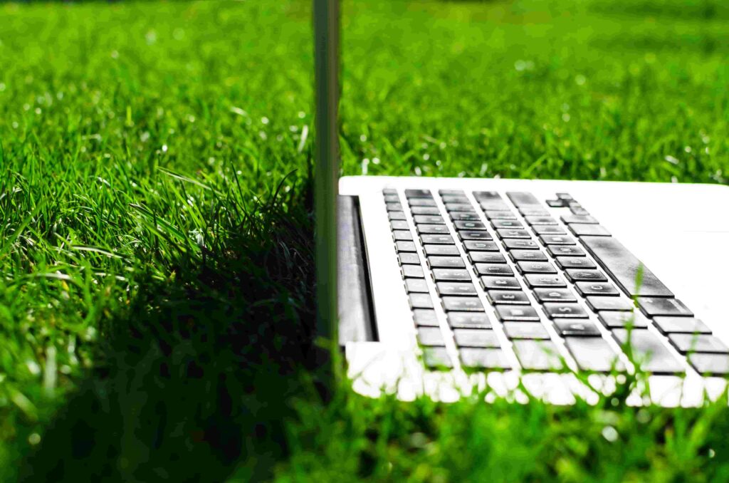 The Surprising Business Benefits of Going Green - Imfuna